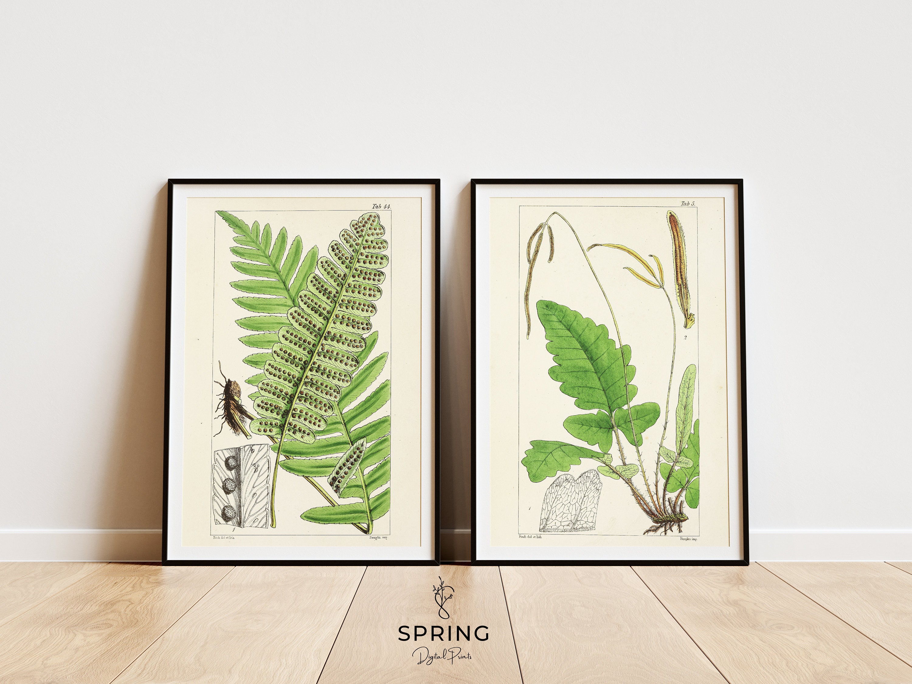 40 Vintage Fern Botanical Prints Botanical Wall Art Botanical Wall ...