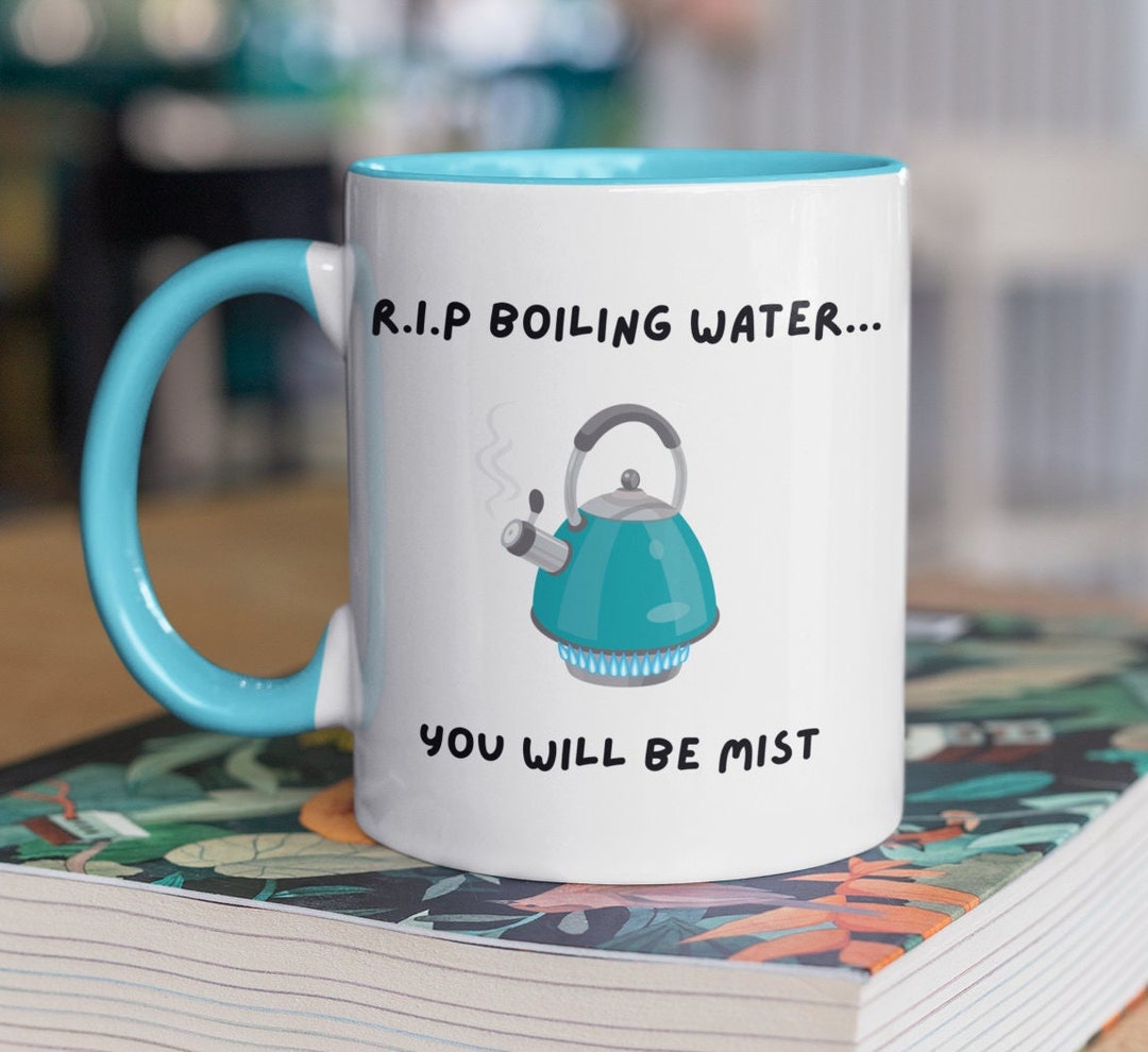 Funny Science Mug | RIP Boiling Water Pun Mug, Physics Mug, Gift for ...