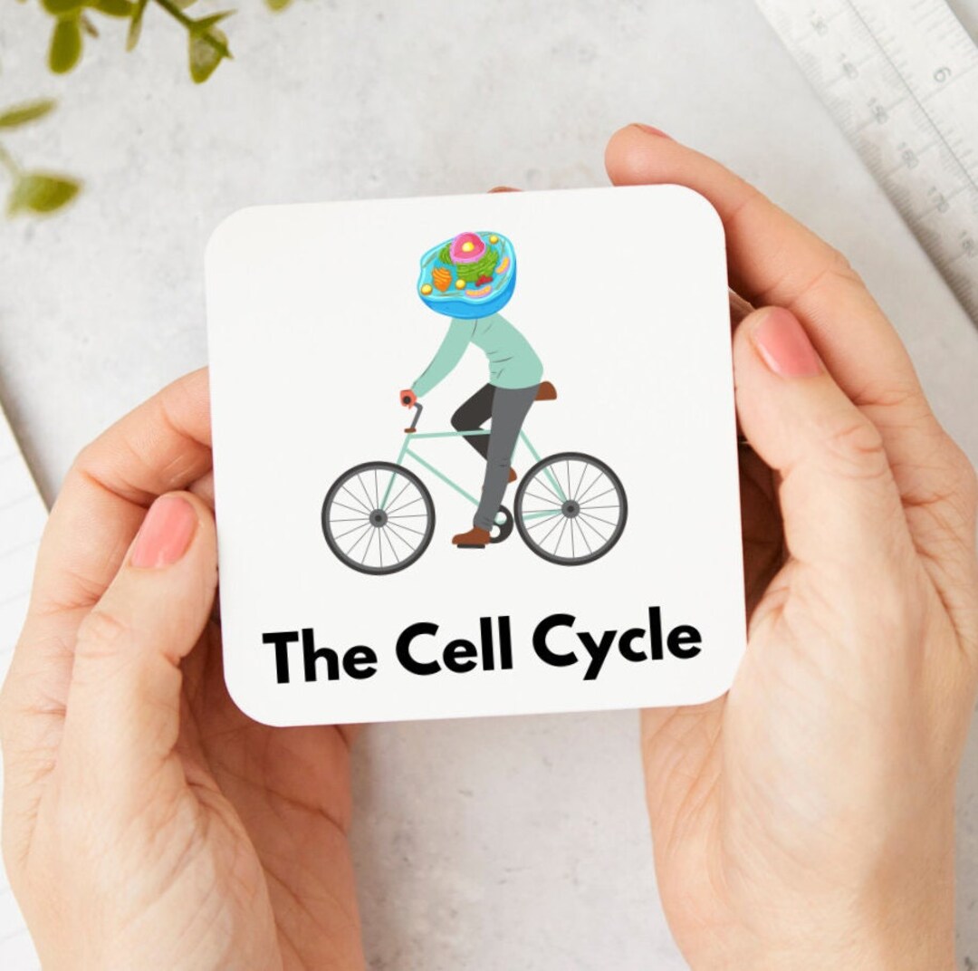 Funny Science Coaster | Hard-board Cell Cycle Coaster, Science Gift ...