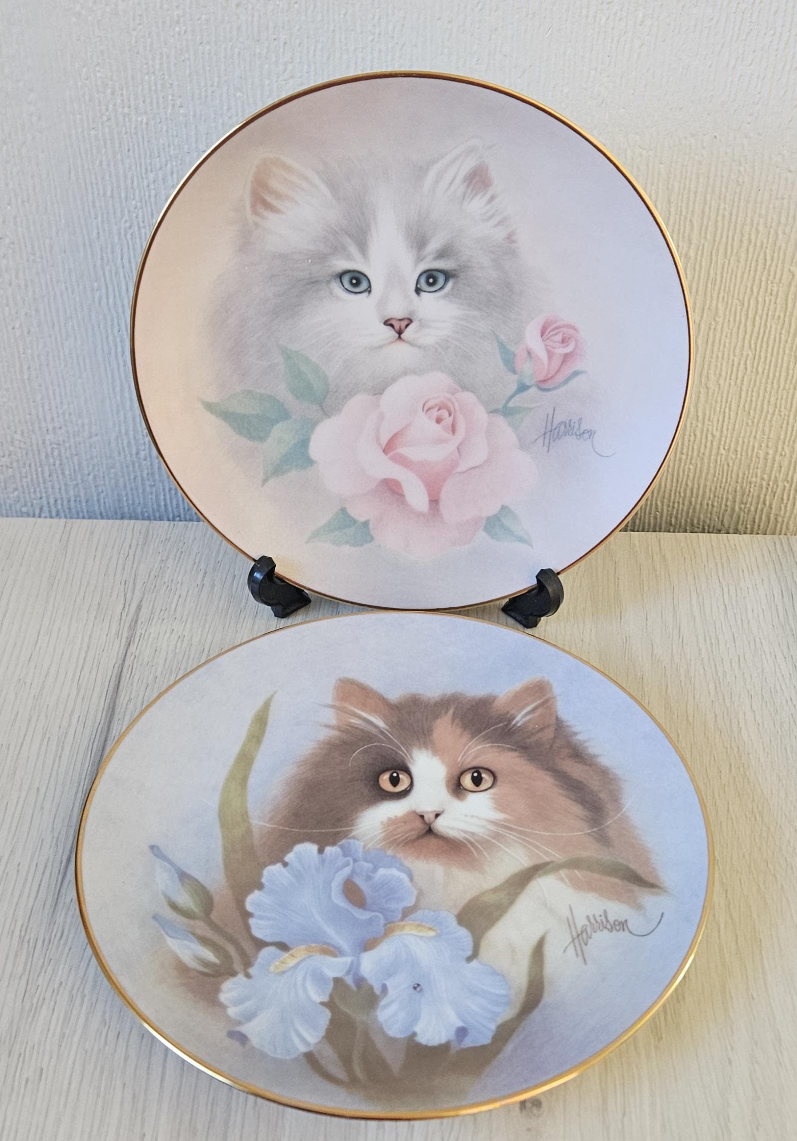 Vintage Cat Plates Set of 2 Floral Decor Wall Plates Collectible Cat ...