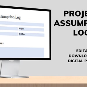 Editable Project Assumption Log Template (downloadable PDF) - Etsy