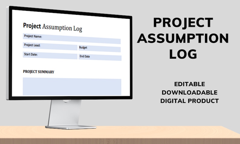 Editable Project Assumption Log Project Management Templates