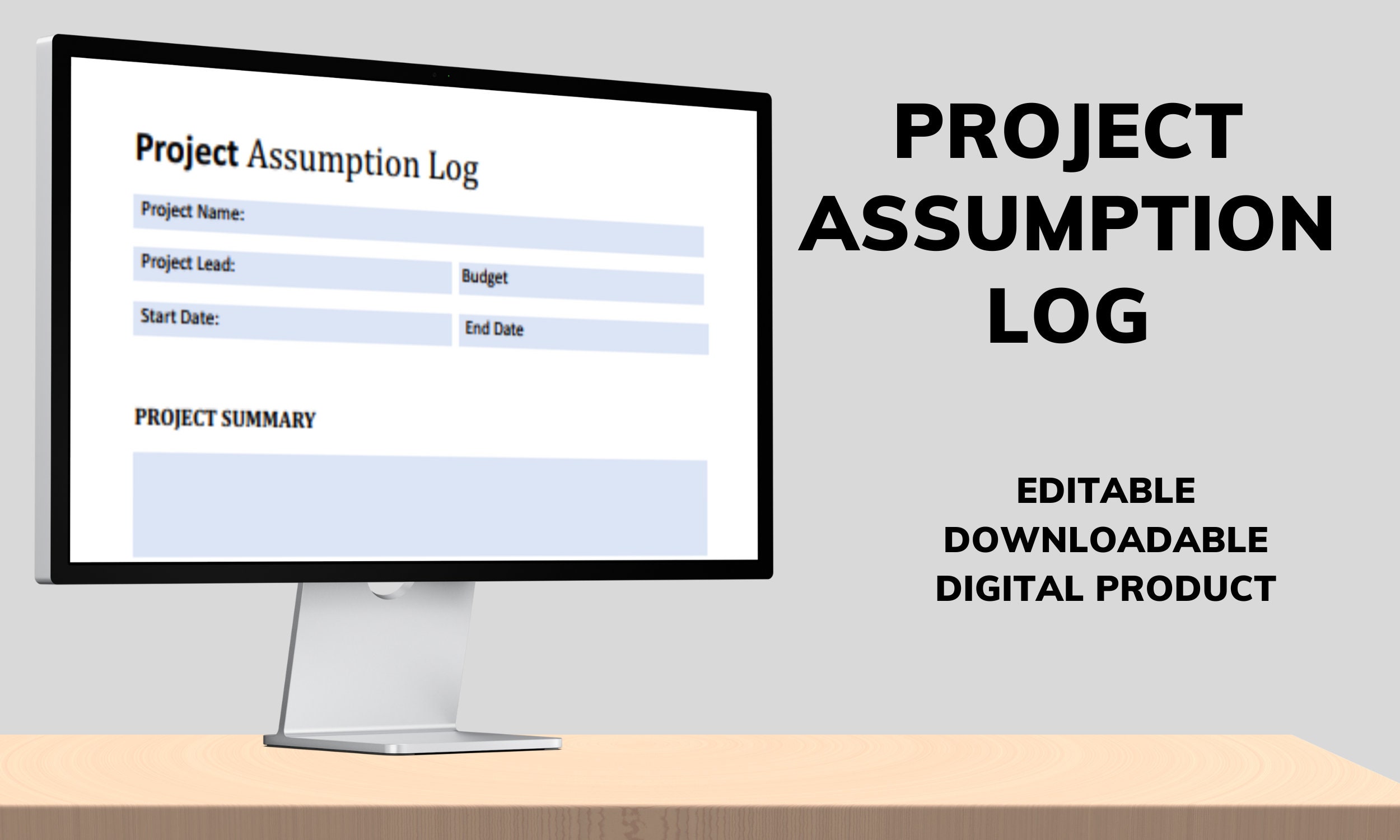 Editable Project Assumption Log Template (downloadable PDF) - Etsy