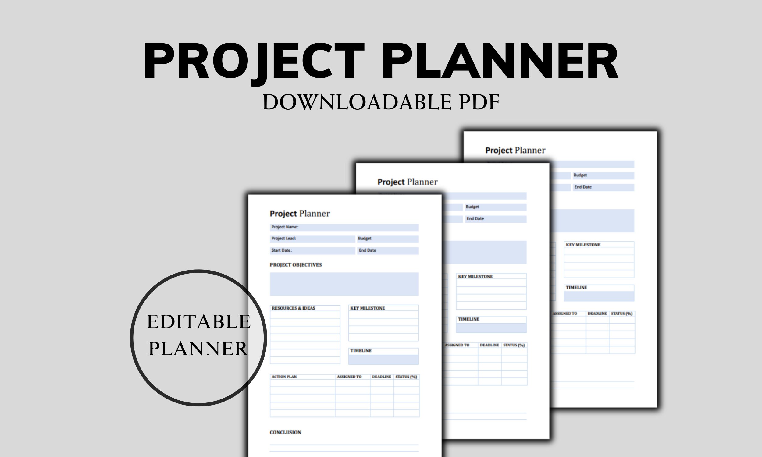 Editable Project Planner Template: MS Word, Productivity (digital ...