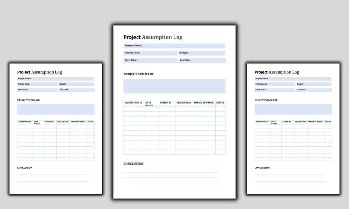 Editable Project Assumption Log Project Management Templates