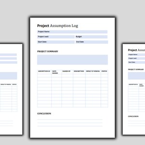 Editable Project Assumption Log, Project Management Templates ...