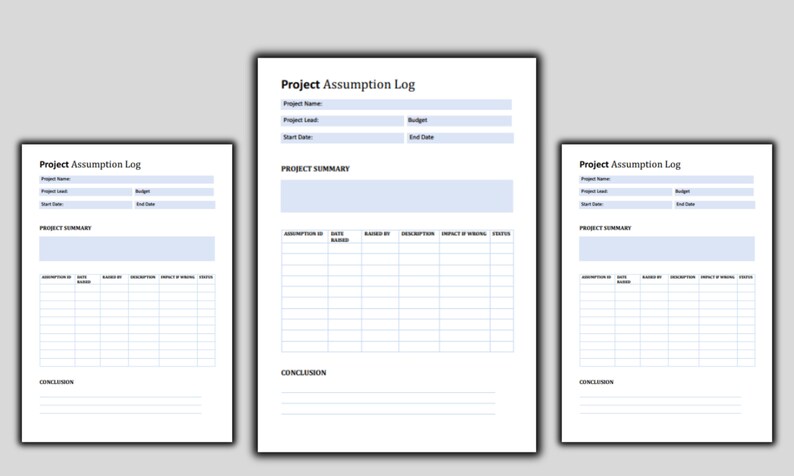 Editable Project Assumption Log Project Management Templates