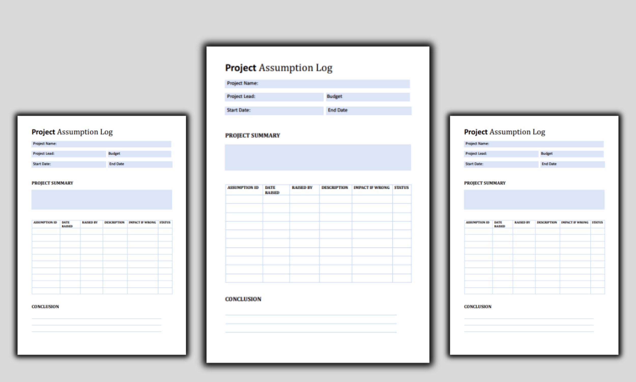 Editable Project Assumption Log, Project Management Templates ...