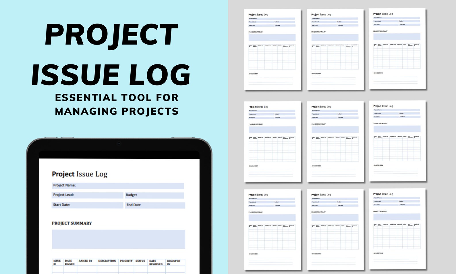 Editable Project Issue Log Template MS Word Project Issue Log Template ...