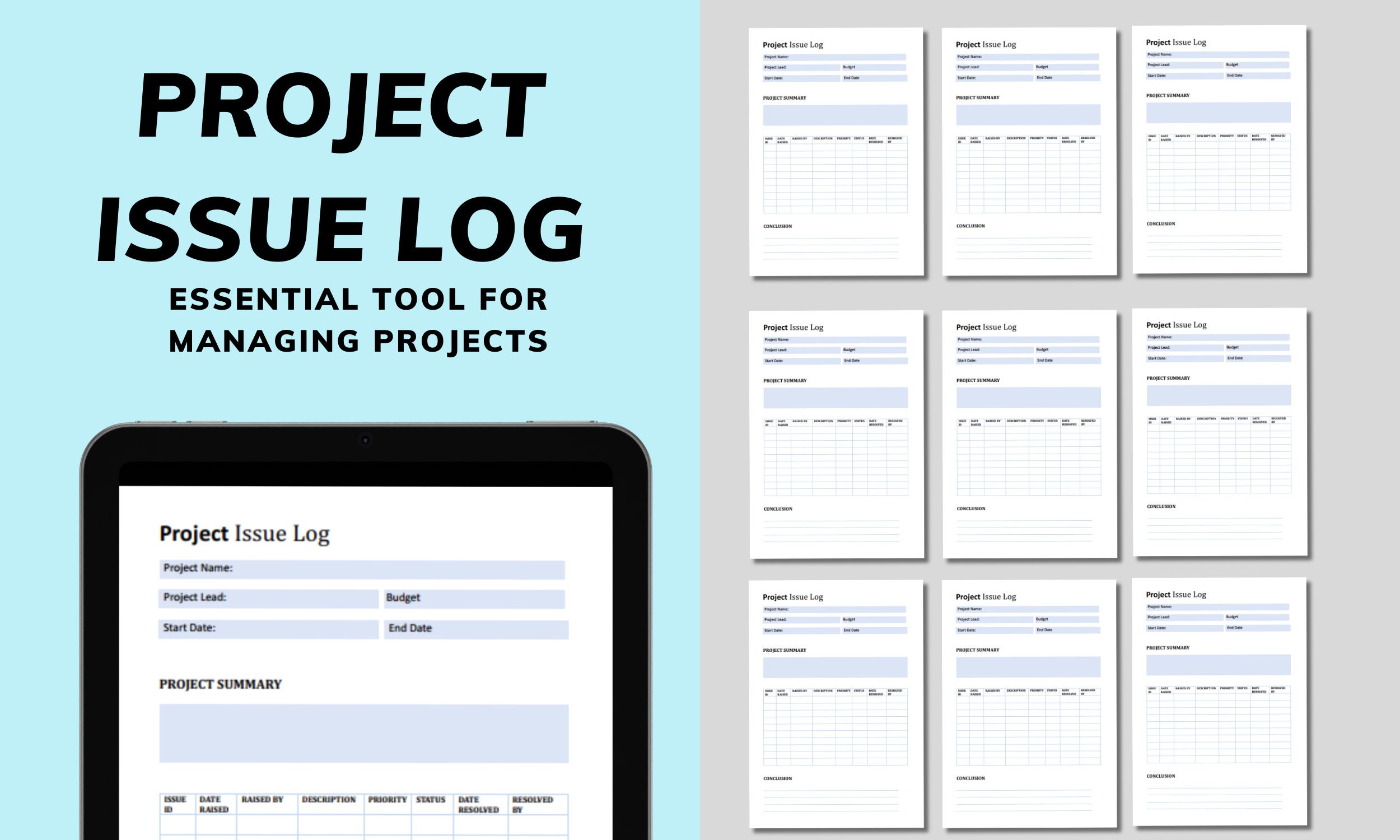 Editable Project Issue Log Template - MS Word Project Issue Log ...
