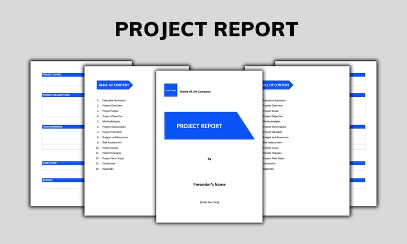 Editable Project Report Template - MS Word Project Report Template ...