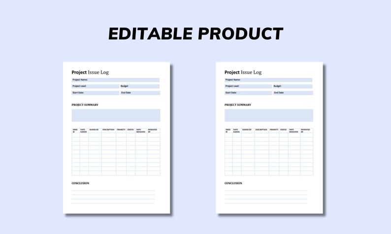 Editable Project Issue Log Template MS Word Project Issue Log Template ...