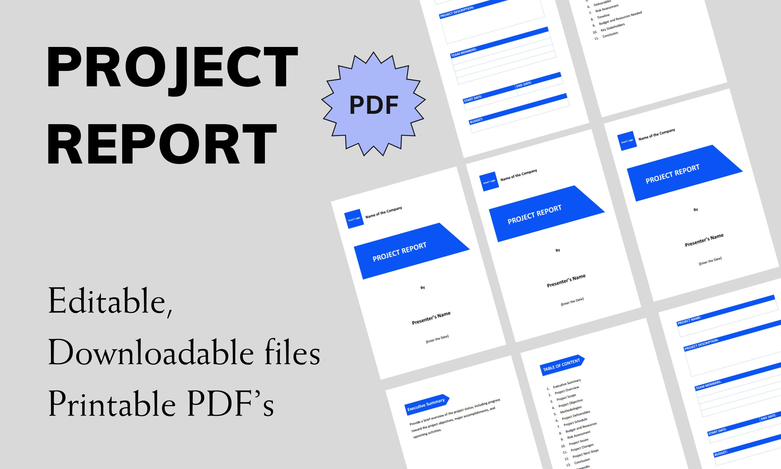 Editable Project Report Template: MS Word, Project Summary (digital ...