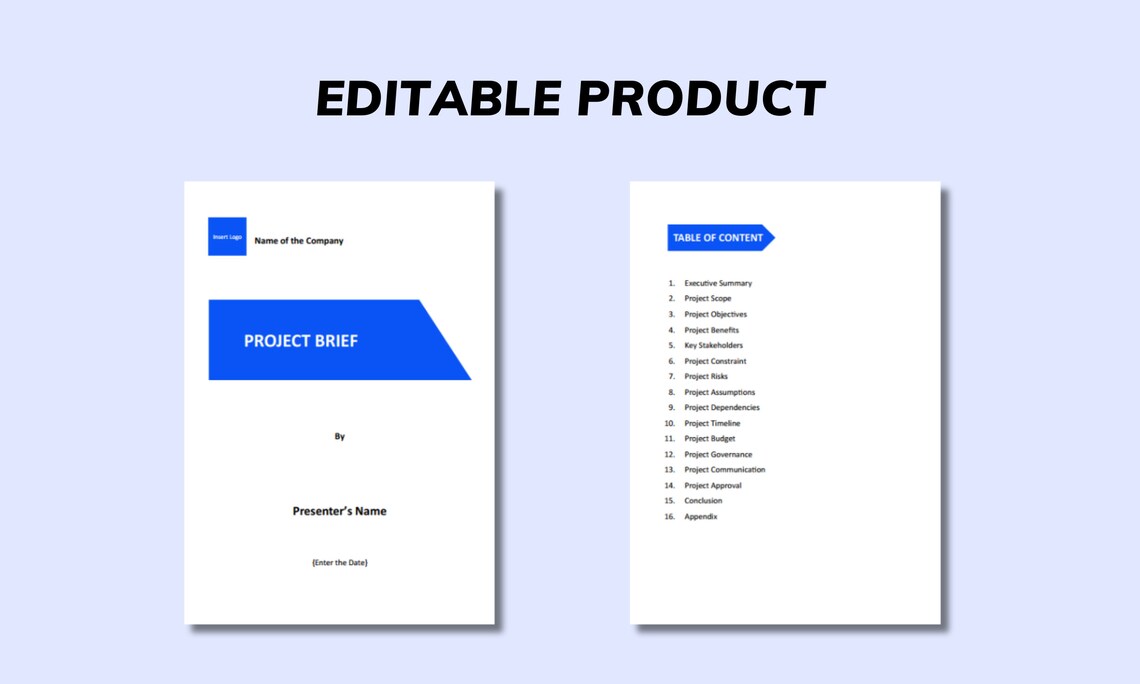 Editable Project Brief Template: Professional MS Word (digital Download ...