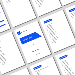 Editable Project Brief Template: Professional MS Word (digital Download ...