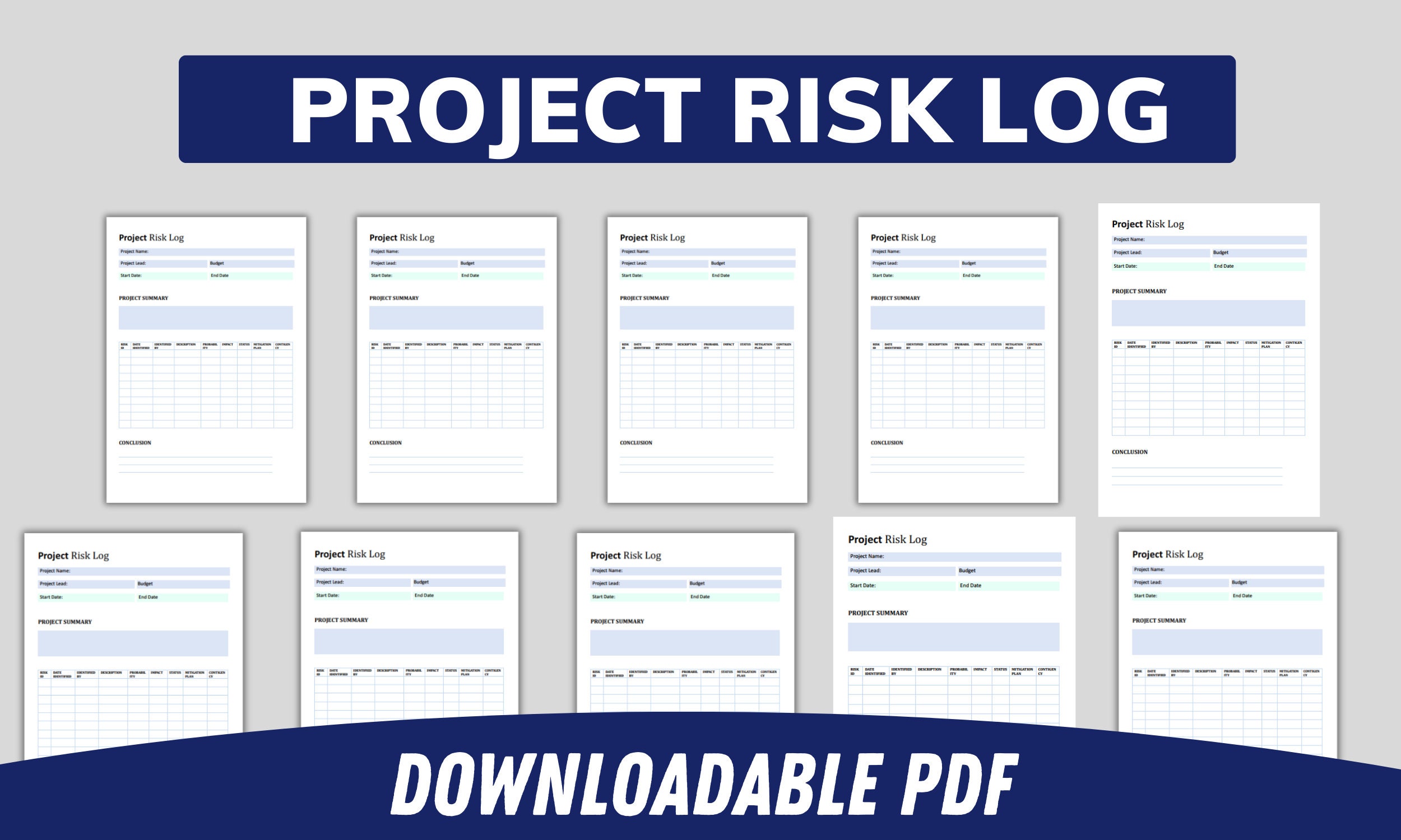 Project Risk Log, Editable Planner, Downloadable Product, Digital File ...
