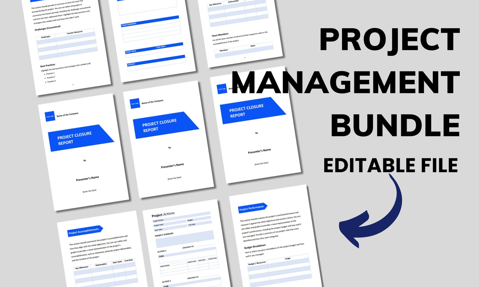 Editable Project Management Templates Bundle: MS Word, Google Docs ...