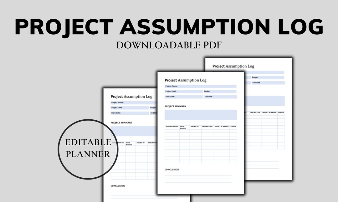 Editable Project Assumption Log, Project Management Templates ...