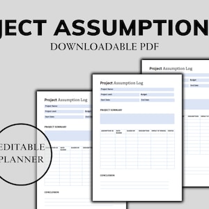 Editable Project Assumption Log, Project Management Templates ...