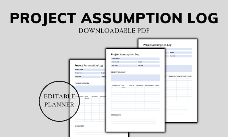 Editable Project Assumption Log Template (downloadable PDF) - Etsy