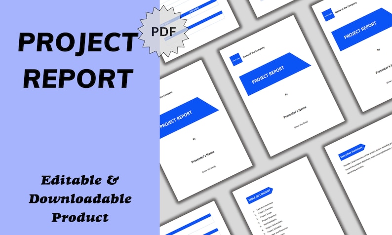 Editable Project Report Template - MS Word Project Report Template ...