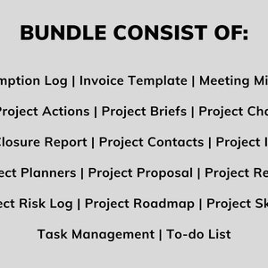 Editable Project Management Templates Bundle: MS Word, Google Docs ...