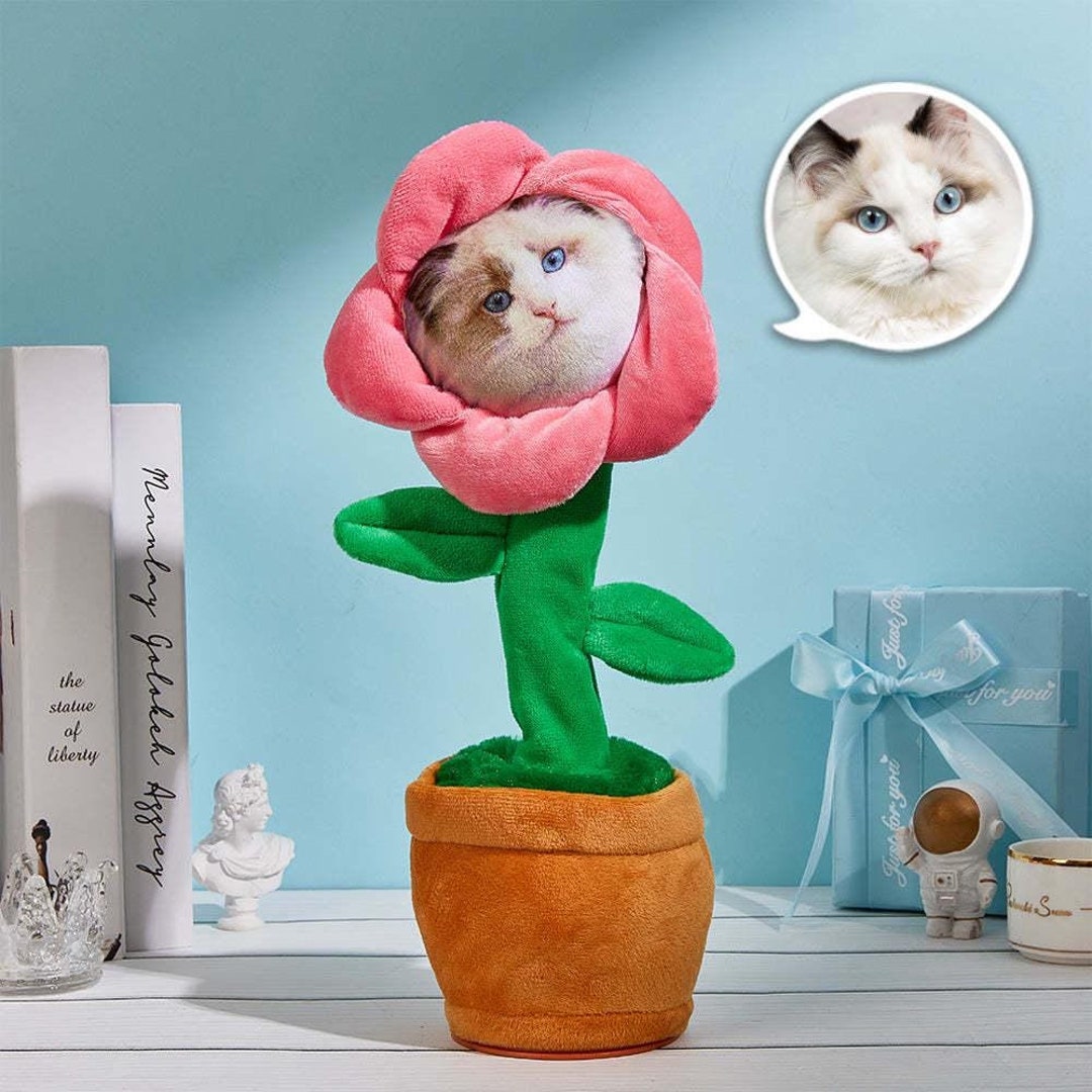 Custom Pink Photo Dancing Plant Custom Face Dancing Flower Singing ...