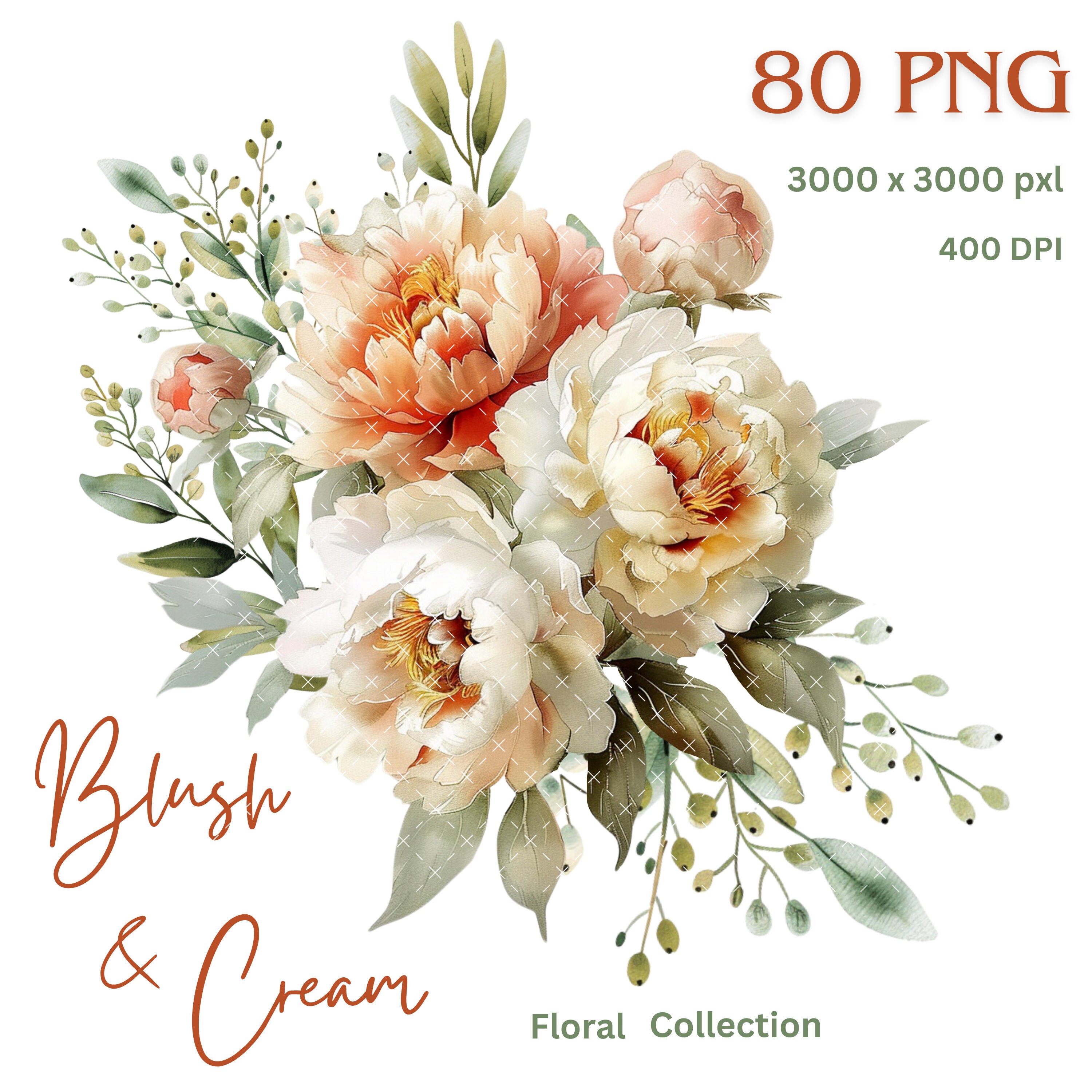 80 PNG Watercolor Floral Clipart Peony Flowers Clipart Blush, Peach and ...