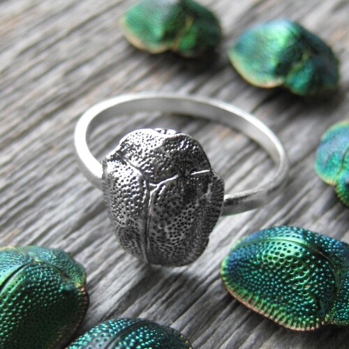 SCARAB Ring Real Insect Jewelry Bug Ring Oxidized Sterling - Etsy