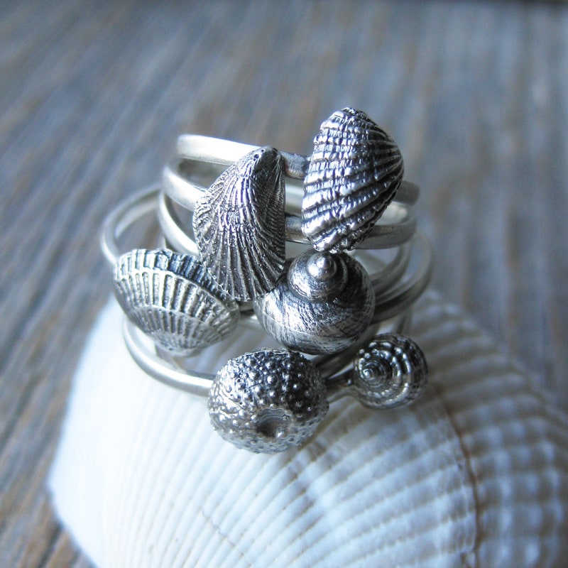 Silver Seashell Ring - Etsy