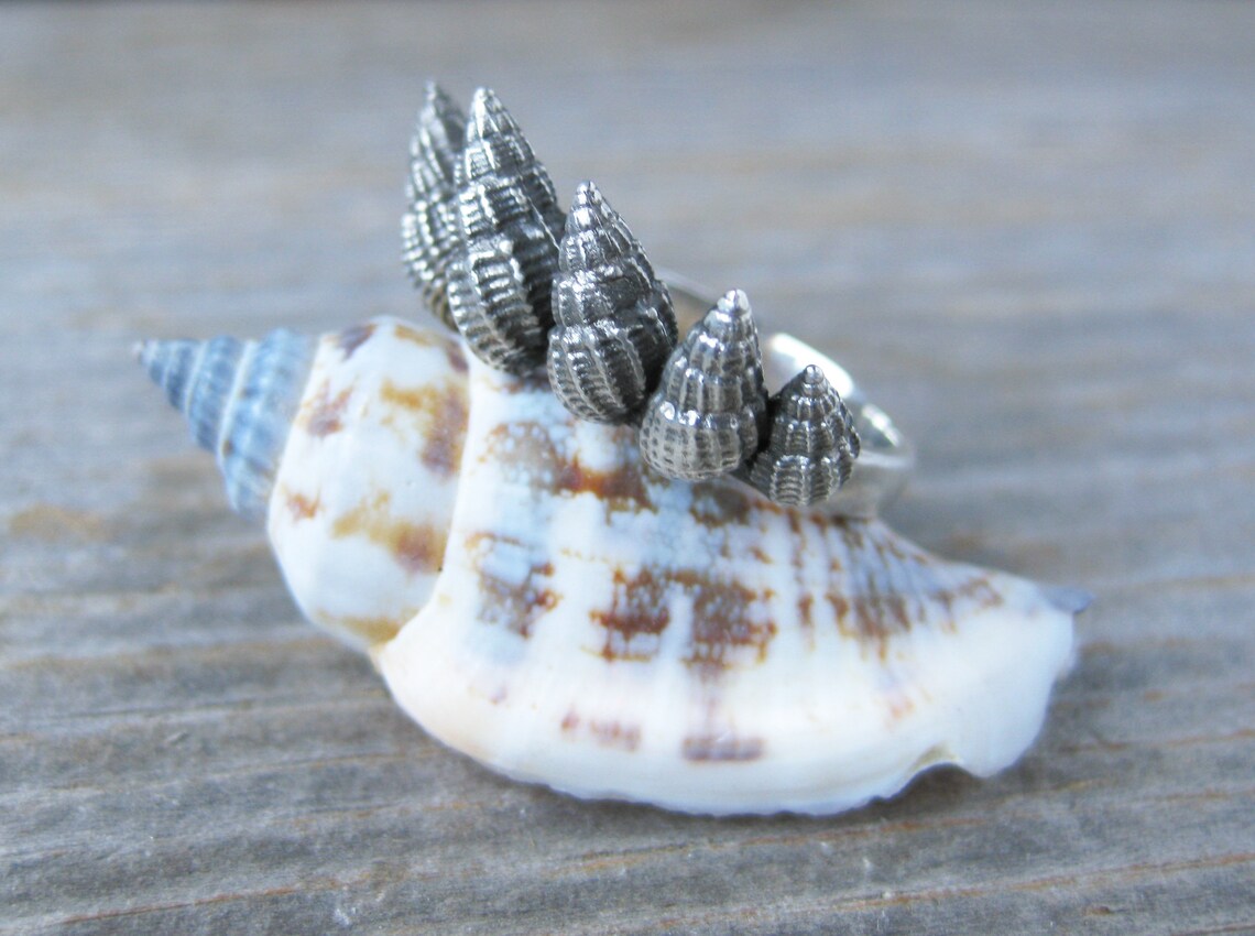 Spiral SHELL Seashell Ring Summer Beach Ring Made to Order | Etsy