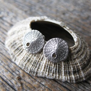SAND DOLLAR Studs Petite Shell Sterling Silver Seashell Post Earrings - Etsy