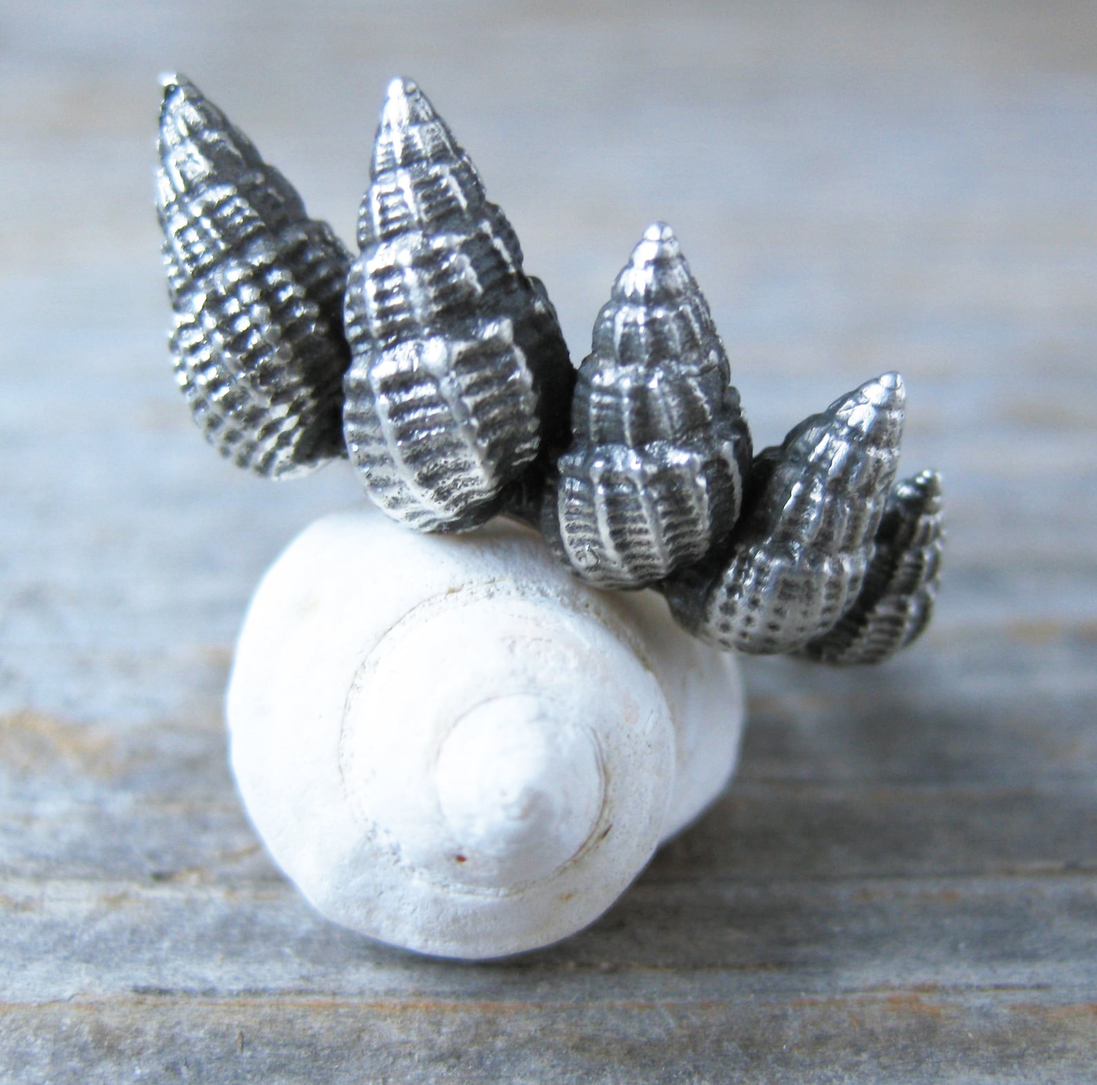 Spiral SHELL Seashell Ring Summer Beach Ring Made to Order | Etsy