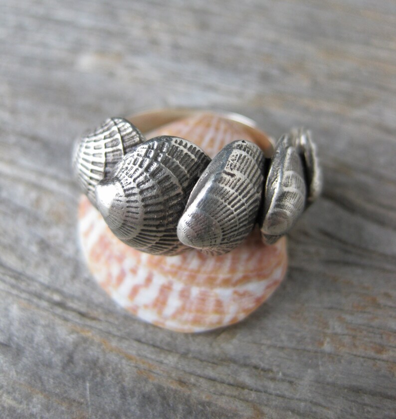 FAN SHELL Seashell Ring Summer Beach Ring Made to Order Size Sterling ...