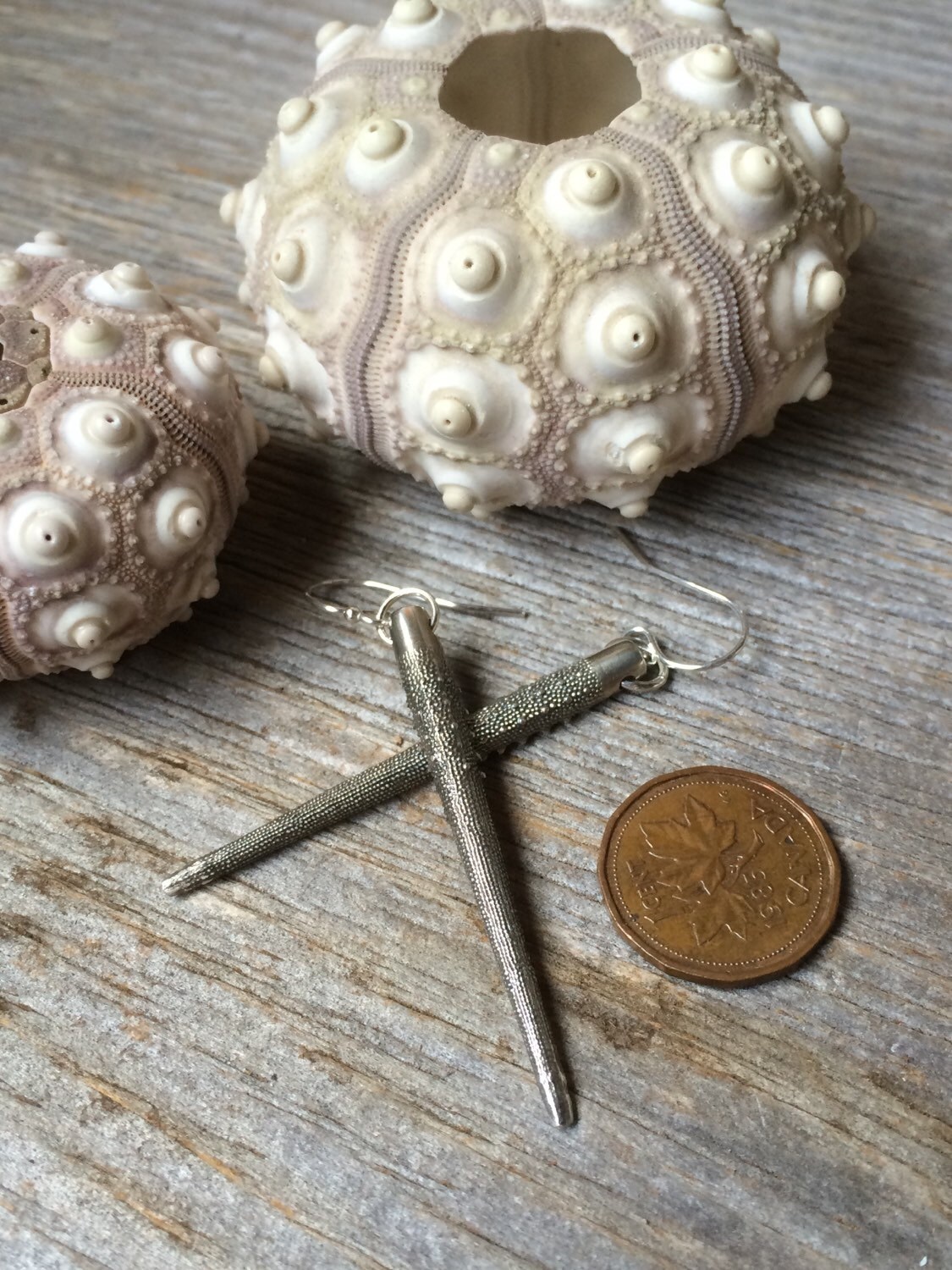 Spike SEAURCHIN Spine Sterling Silver Seashell Dangle Earrings - Etsy