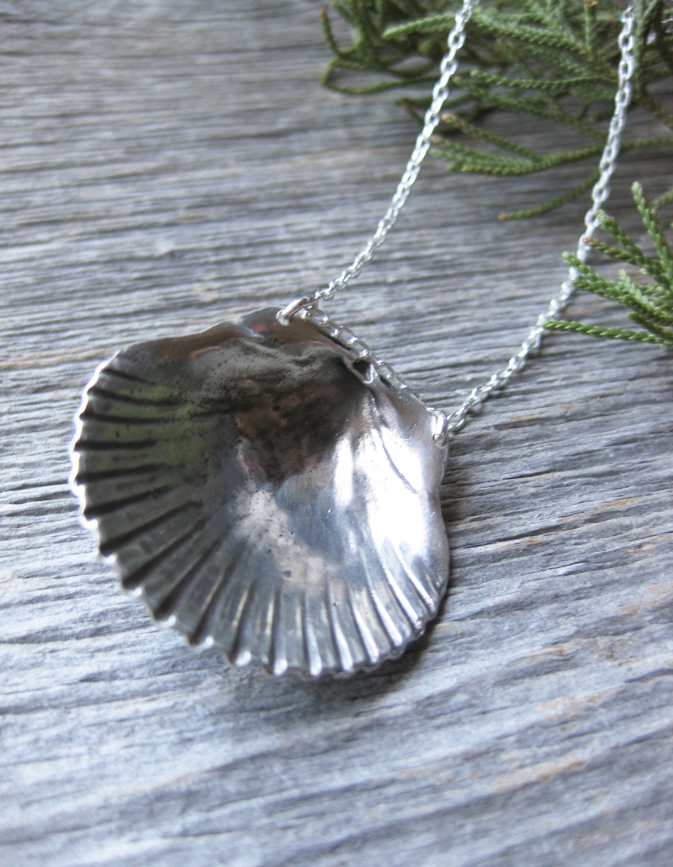 SCALLOP Shell and Barnacle Oxidized Sterling Silver Necklace - Etsy