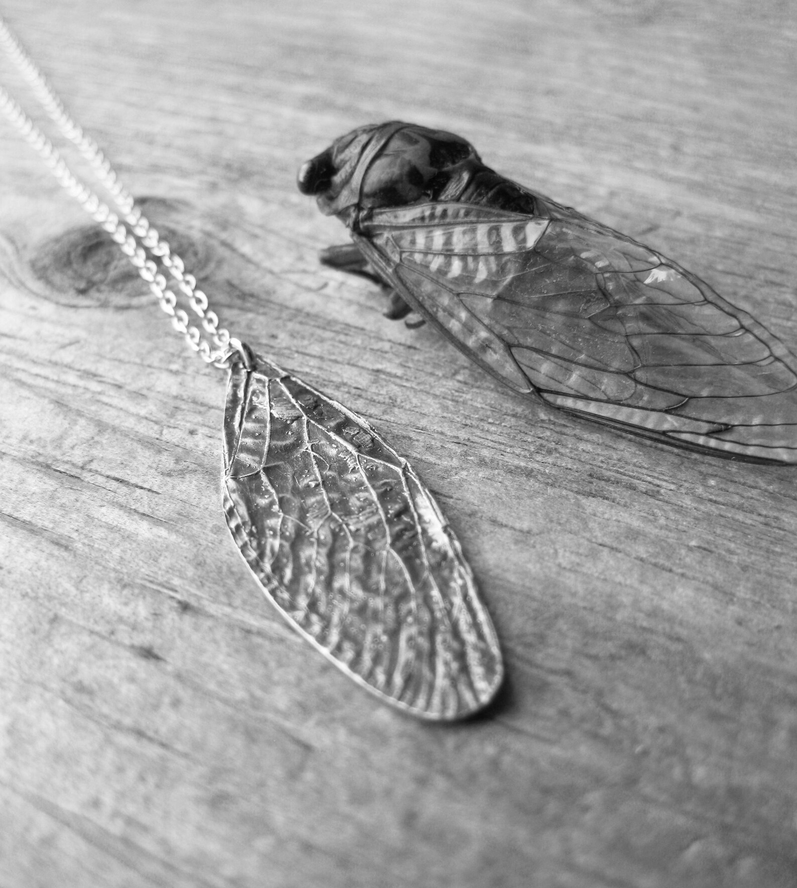 Gold CICADA WING Charm, Solid 14kt Yellow Gold Pendant - Etsy