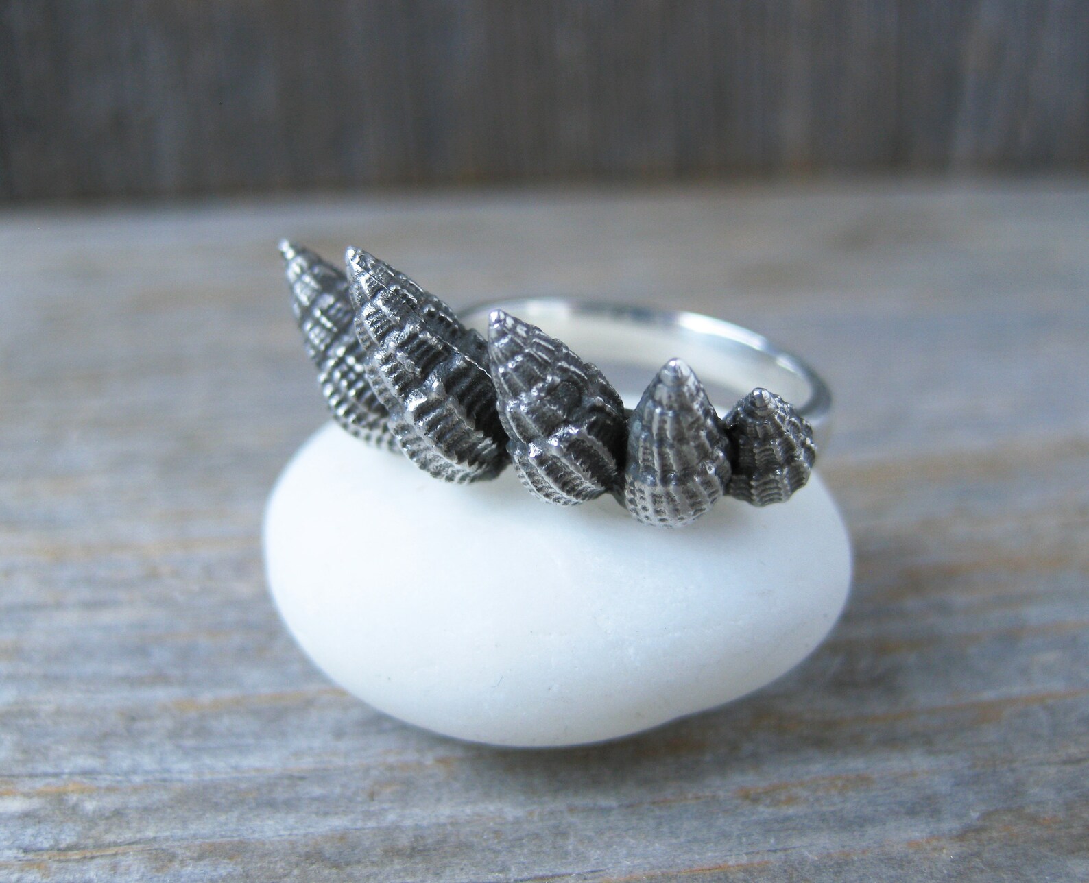 Spiral SHELL Seashell Ring Summer Beach Ring Made to Order | Etsy