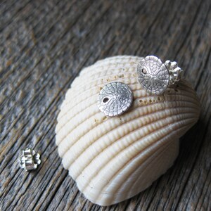 SAND DOLLAR Studs Petite Shell Sterling Silver Seashell Post Earrings - Etsy