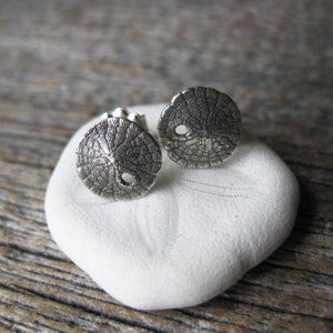 SAND DOLLAR Studs Petite Shell Sterling Silver Seashell Post Earrings - Etsy