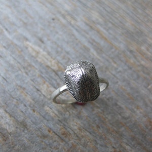 SCARAB Ring Real Insect Jewelry Bug Ring Oxidized Sterling Silver Ready ...