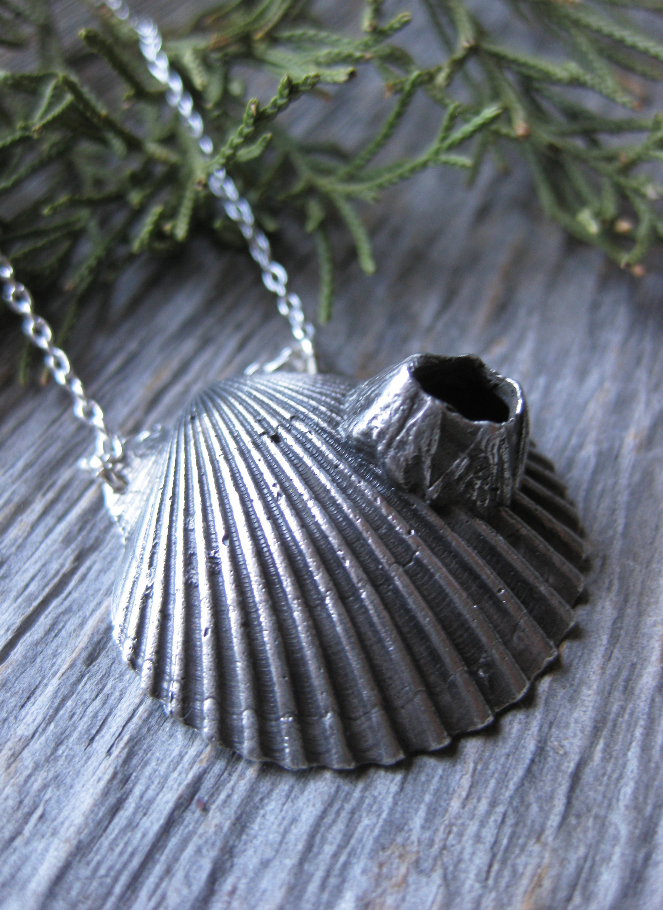 SCALLOP Shell and Barnacle Oxidized Sterling Silver Necklace - Etsy