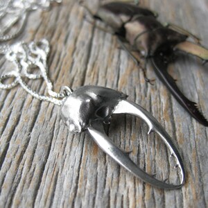 STAG BEETLE Necklace Real Insect Jewelry Oxidized Sterling Silver Bug ...