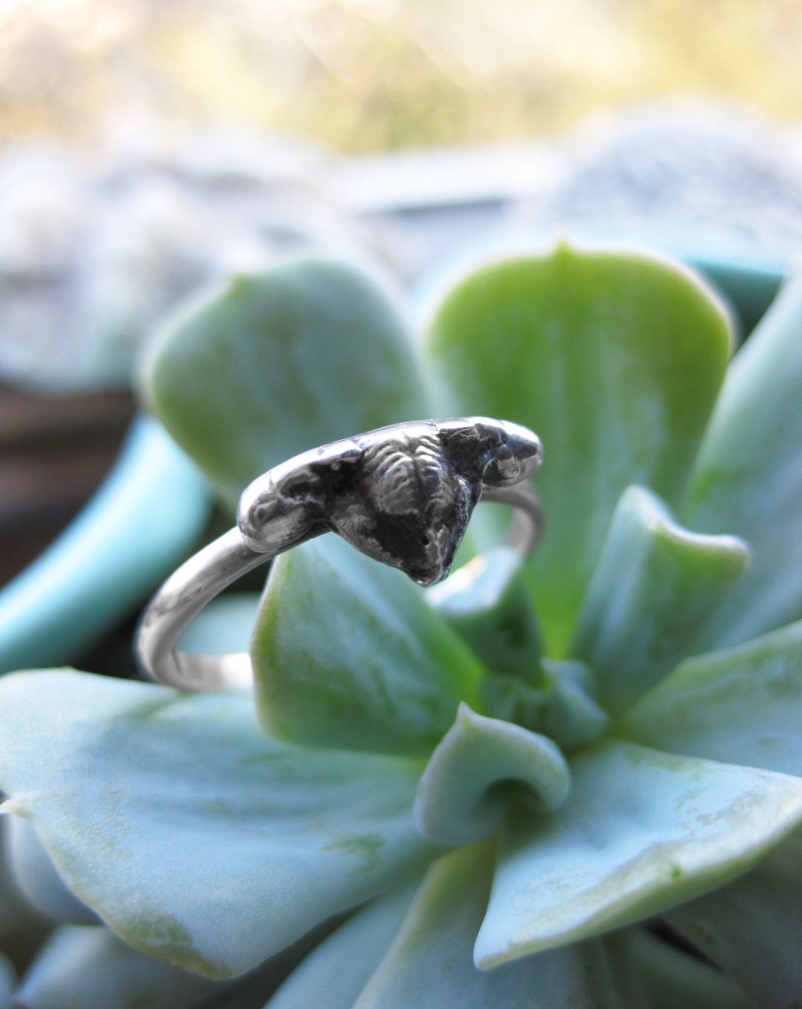 CICADA Stacking Ring Oxidized Real Insect Jewelry Sterling - Etsy