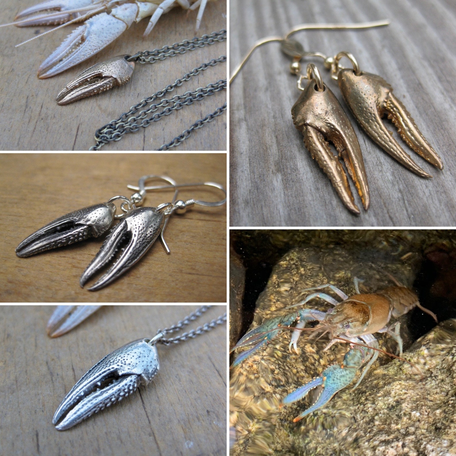 Large CRAWFISH CLAW Crayfish Crawdaddy Brass Pendant Sterling - Etsy