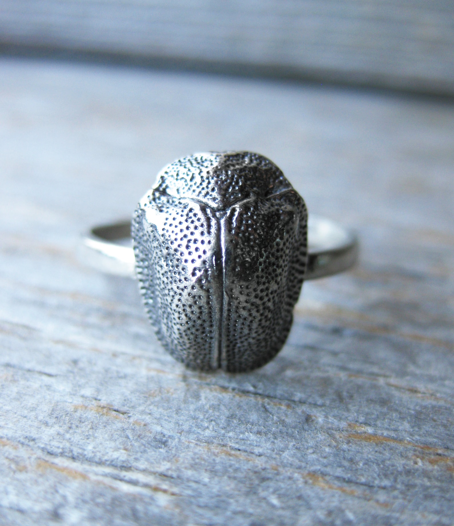 SCARAB Ring Real Insect Jewelry Bug Ring Oxidized Sterling | Etsy
