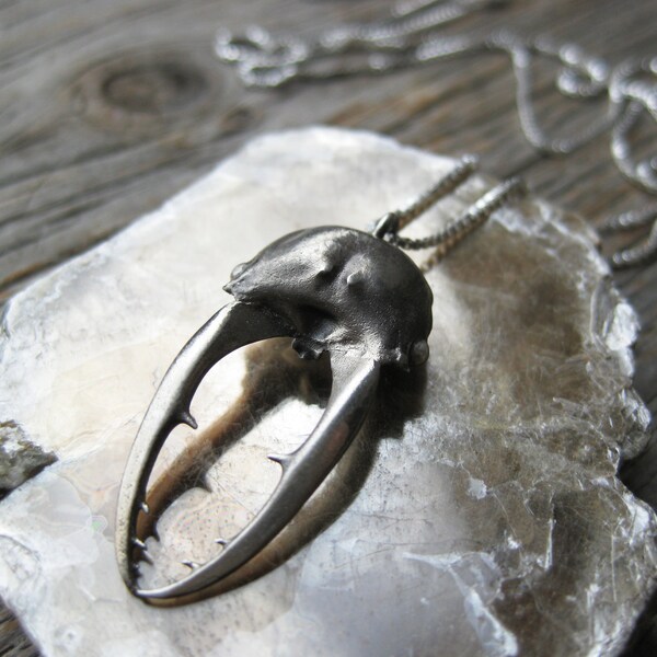 Insect Jewelry - Etsy