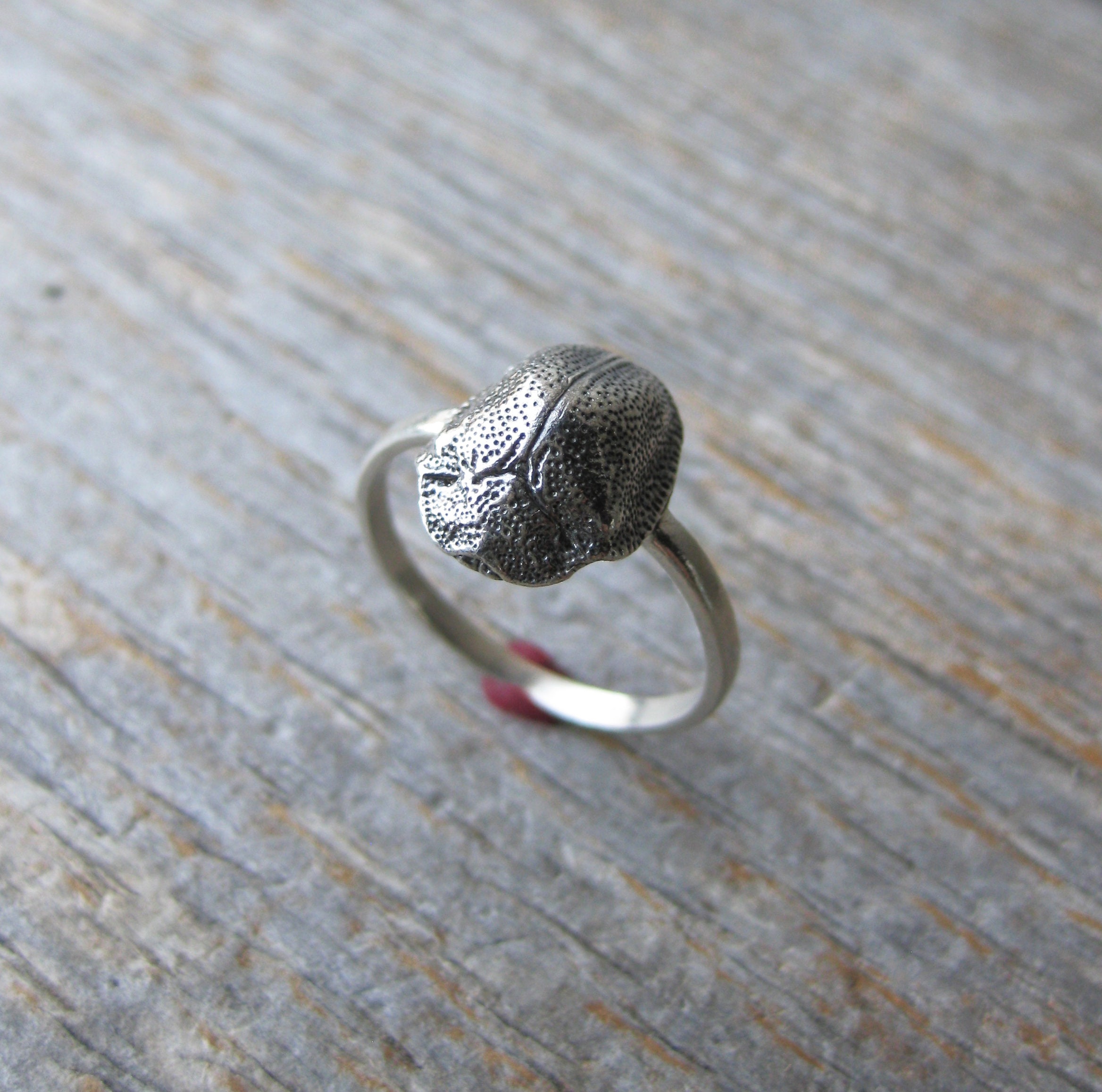 SCARAB Ring Real Insect Jewelry Bug Ring Oxidized Sterling | Etsy