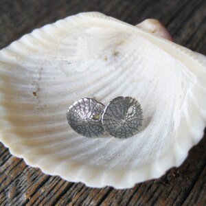 SAND DOLLAR Studs Petite Shell Sterling Silver Seashell Post Earrings - Etsy