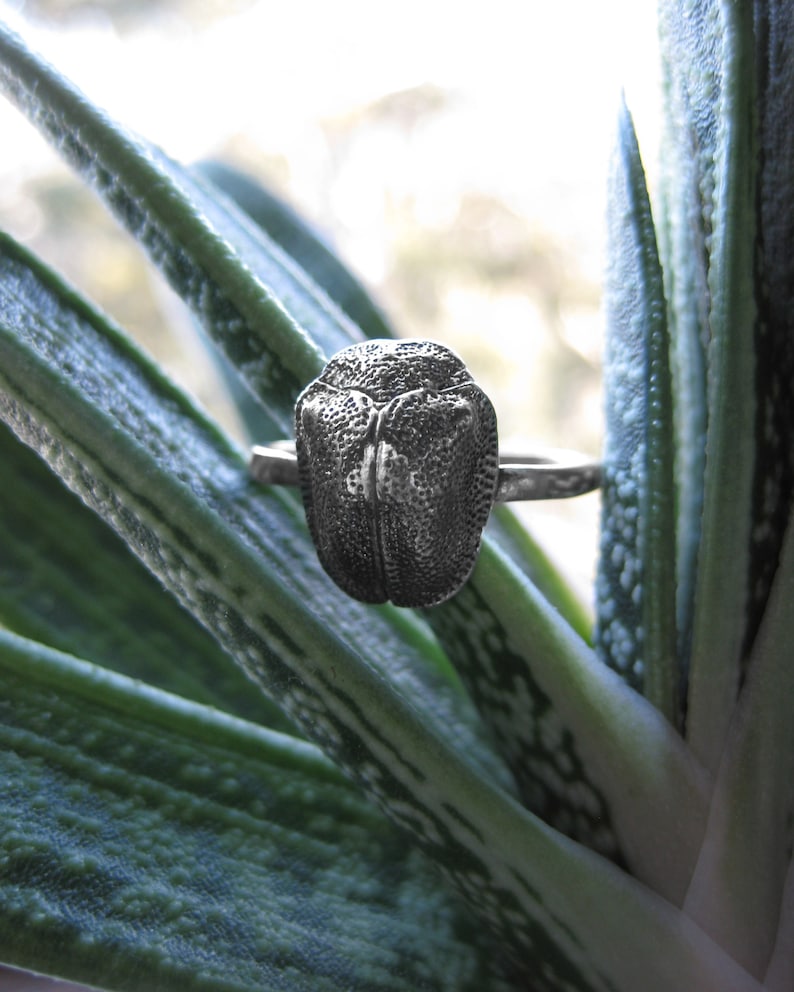 SCARAB Ring Real Insect Jewelry Bug Ring Oxidized Sterling - Etsy